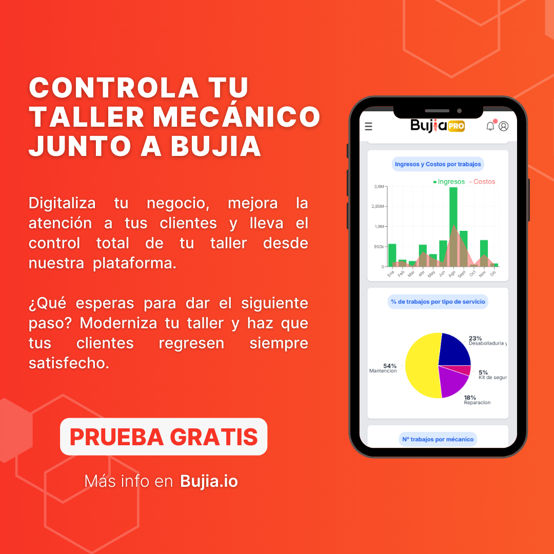 Bujia: precios, funciones y opiniones